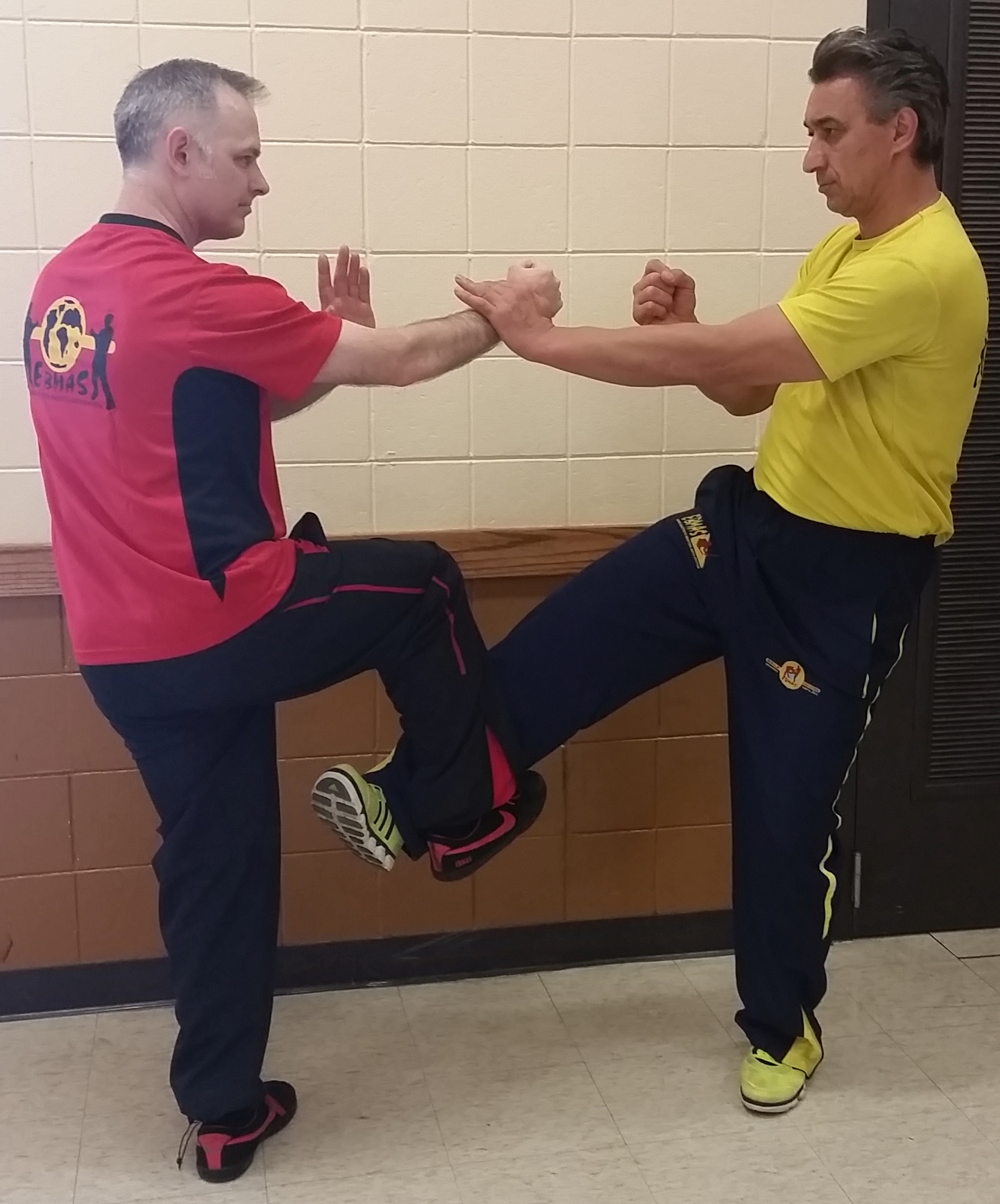 Wing Tzun / Wing Chun seminar with Dai Sifu Emin Boztepe – Wing Chun ...